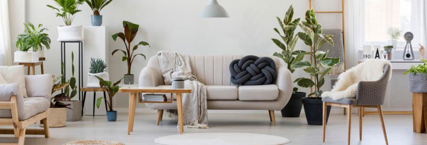 Comment créer une ambiance cocooning chez soi